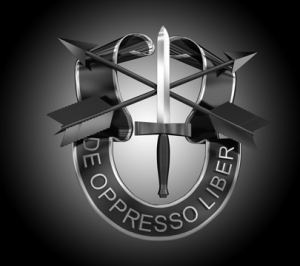 Should we use our special operations troops as assassins? Is it right ...